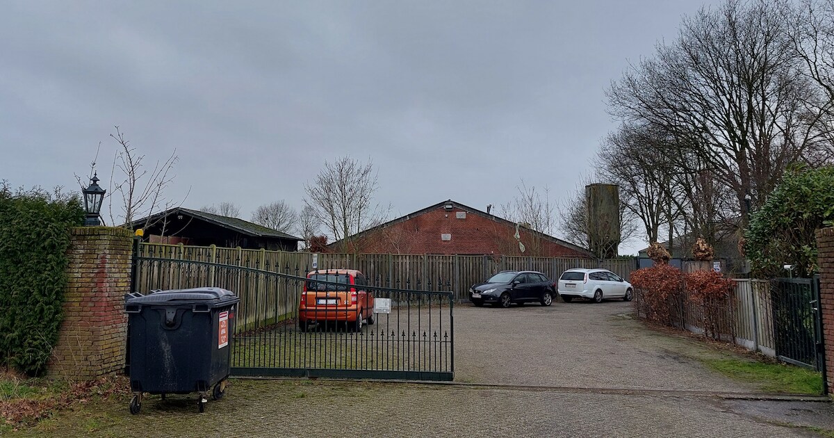 Dierenkliniek Someren over misstanden in puppyhandel: ‘Deze ...