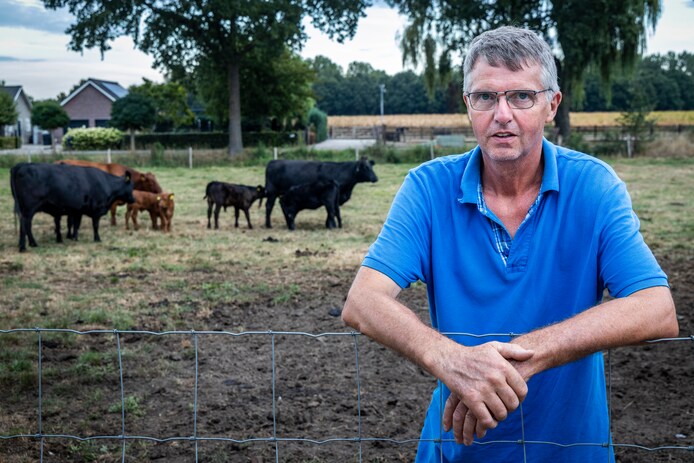 Angusbeef hoeft niet uit Zuid-Amerika te komen, weet Nico van Schaijk ...