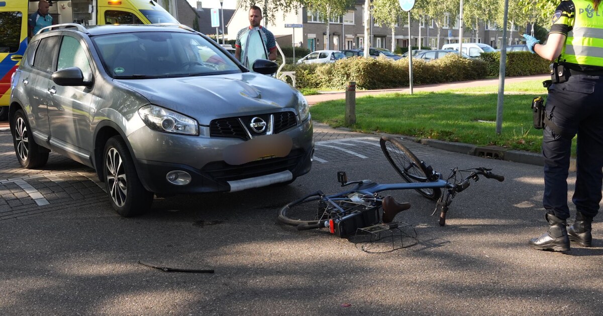 Fietser met hondje achterop aangereden door auto in Helmond: man raakt ...
