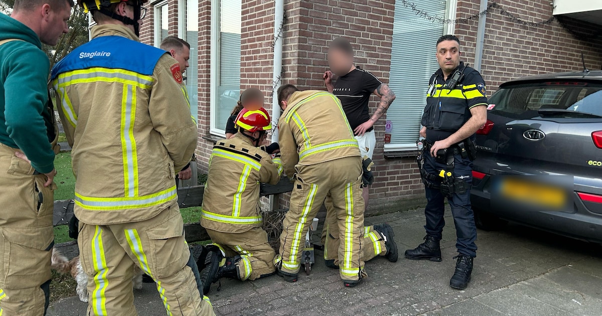 Brandweer moet meisje uit benarde positie bevrijden in Veldhoven: vingers zitten vast in ...