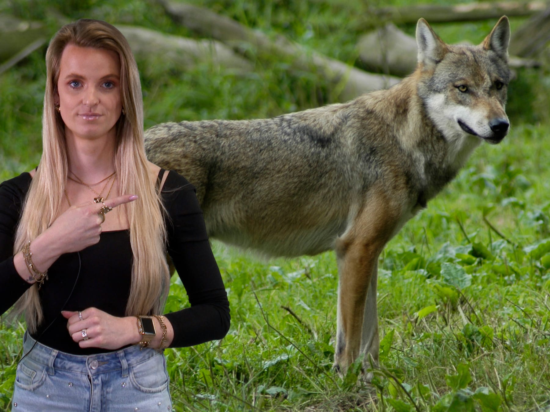 Opening De Wielewaal Eindhoven | Eindhoven | ED.nl