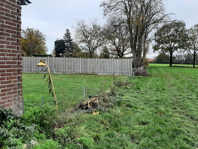 Marlon B., verdacht van de moord op Silvana, was een man met twee ...