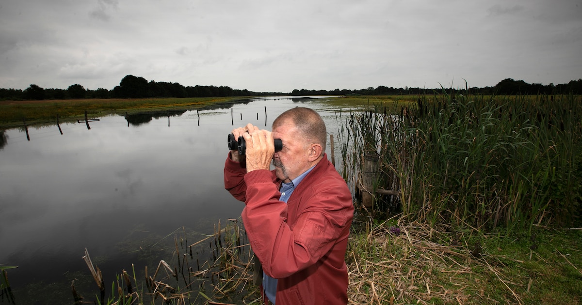 VVV-gids: ‘Er ligt in Reusel zo veel historie’ | Kempen | ED.nl