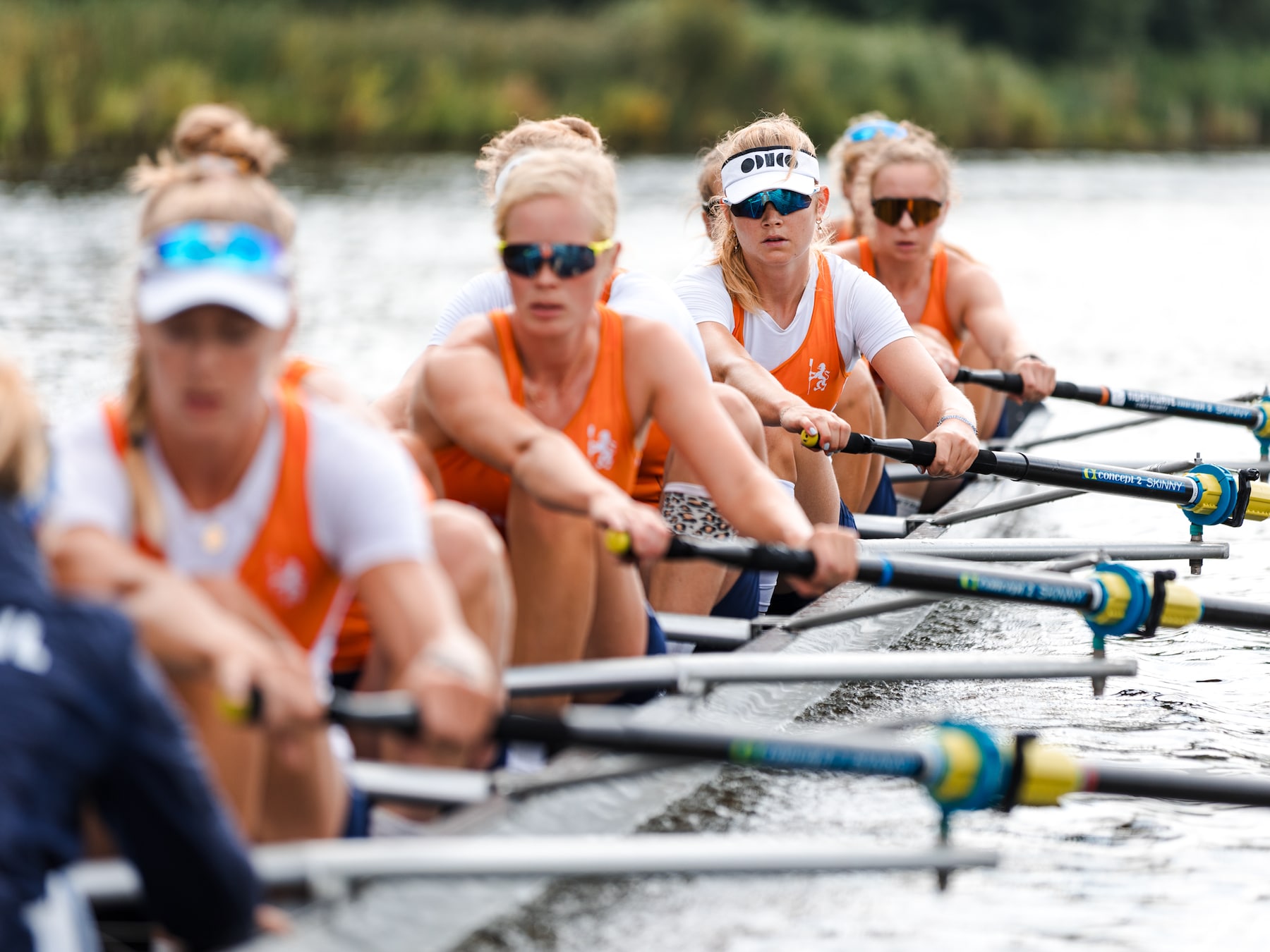 Ter AA laat voortaan ROC in de naam weg: ‘We slaan een nieuwe weg in ...