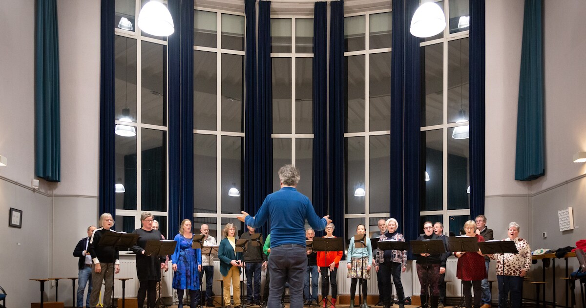 ‘Theo Driessen Instituut moet niet doen wat Muziekcafé doet’: zes ...