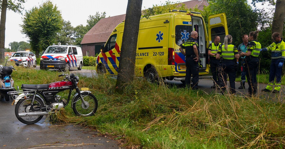 Man op klassieke brommer raakt boom bij val in Someren | Someren | ED.nl