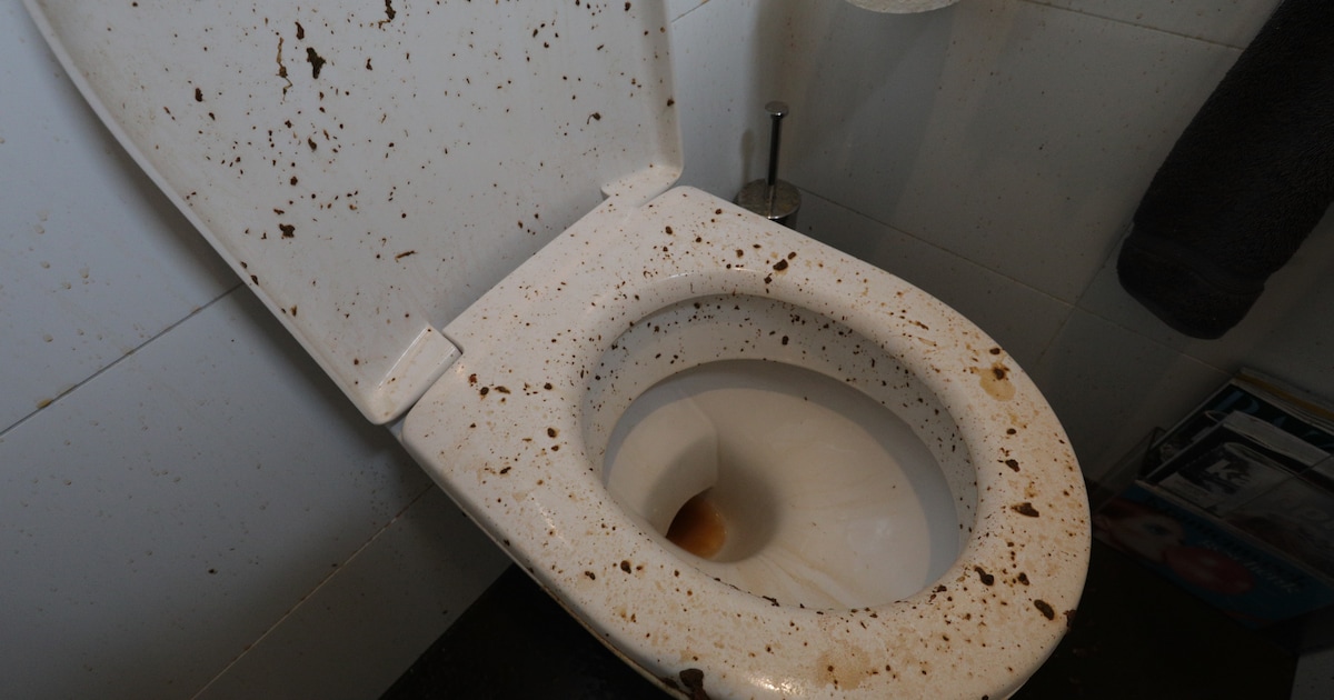 Poep spuit uit toilet in Eindhoven terwijl vrouw erop zit | Regio | ED.nl