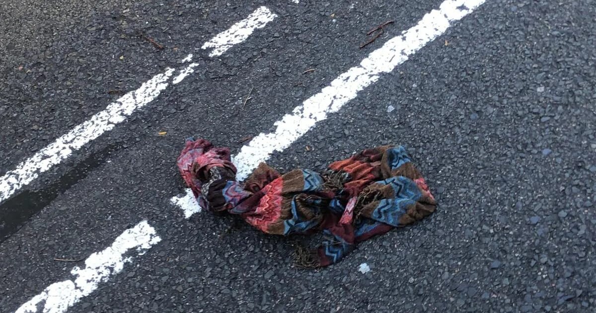‘Bloederig dood dier’ op straat blijkt toch echt iets anders te zijn ...