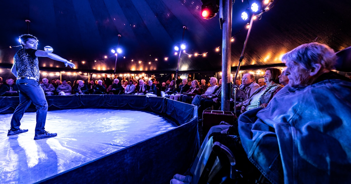 Circus in de Zorg in Bakel: speciale aandacht voor kwetsbare groepen ...