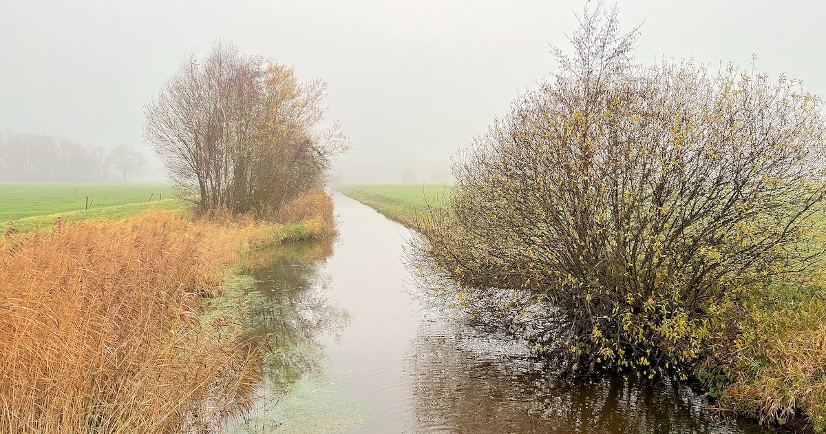 IVN winterwandeling bij kasteel Croy in Aarle-Rixtel | Laarbeek | ED.nl