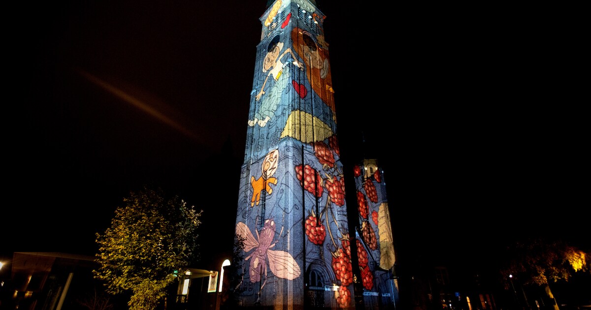 Populair lichtfestival Glow wil door in Helmond; hoeveel geld heeft de ...