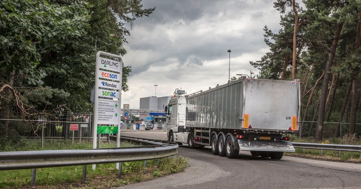 Directeur Rendac in Best: ‘We hebben wel iets uit te leggen' | Regio ...