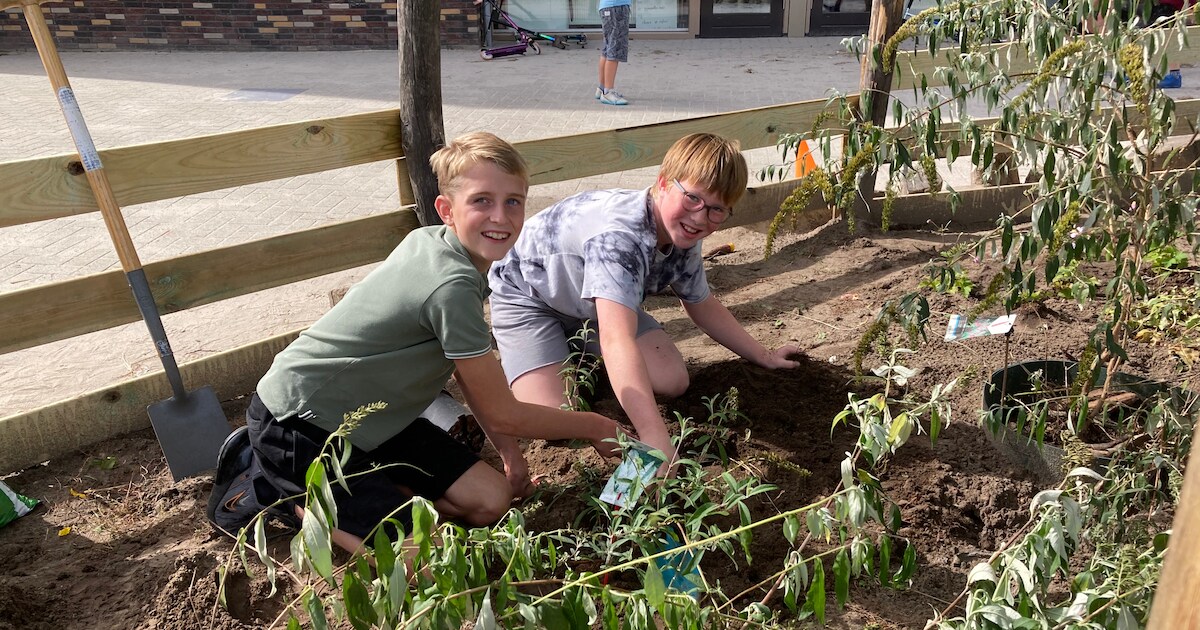 Groen op het schoolplein zorgt voor frisse koppies in de les ...