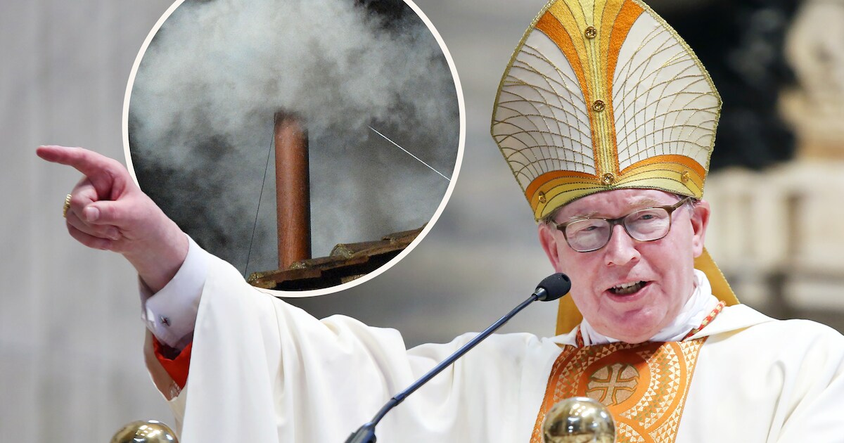 Wie geld heeft ingezet op de Nederlandse Wim Eijk als nieuwe Paus kan ...