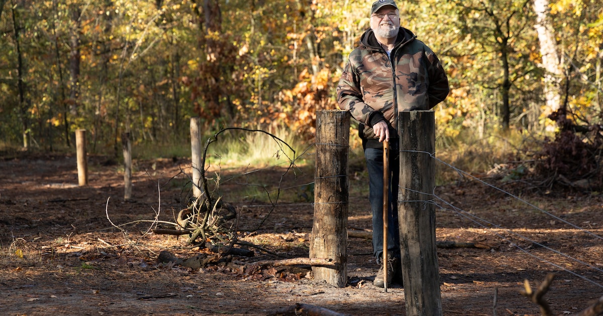 Alex (72) is niet boos, maar teleurgesteld: ‘Ze pakken gewoon een stuk van het Schuttersbos af ...