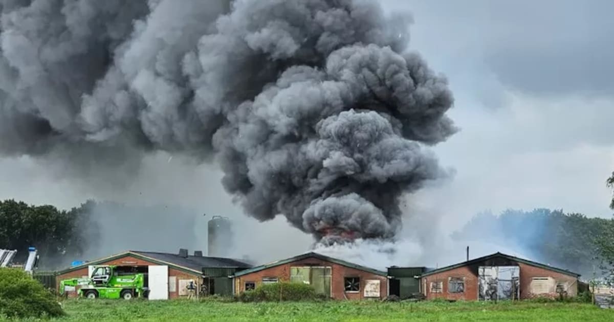Brand net over de grens in België onder controle, rest van de dag ...