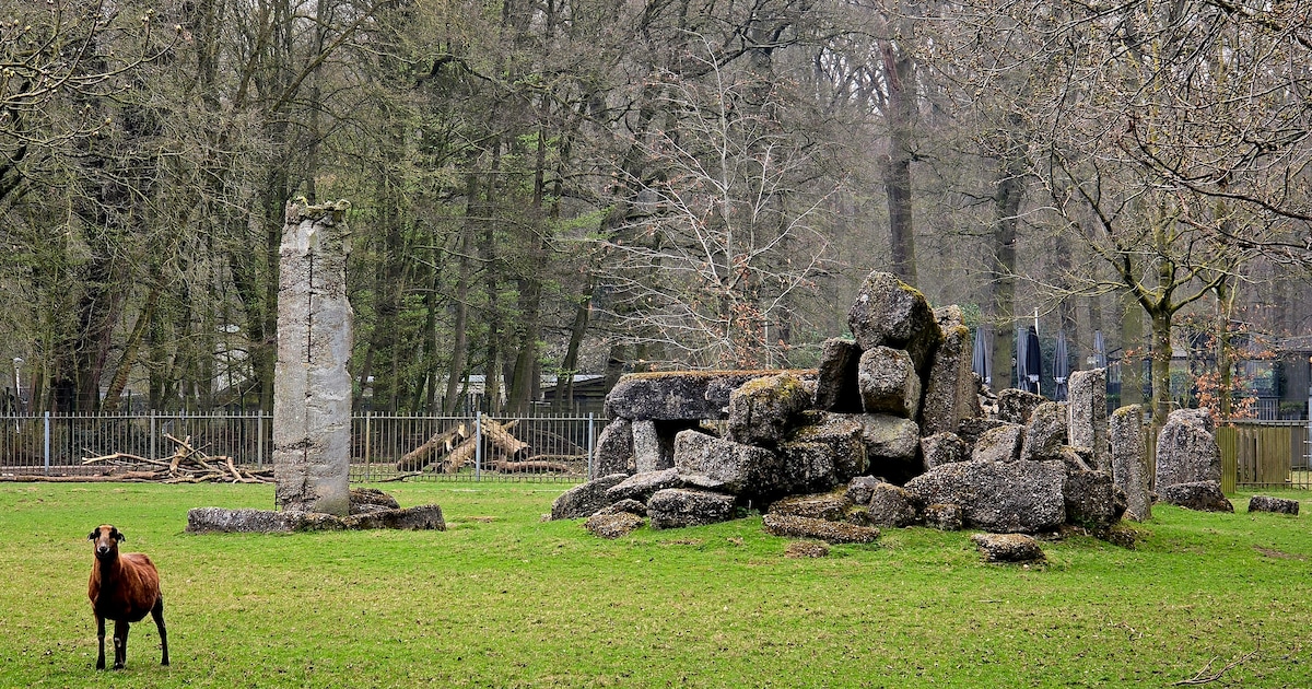 Het grootste schilderij van Nederland? Dat vind je gewoon in Helmond ...