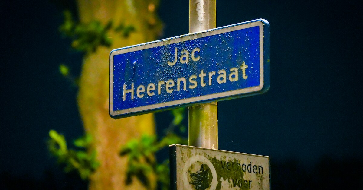 Wéér ontsnapt dezelfde serval uit Helmondse wijk Houtsdonk, dier nog ...