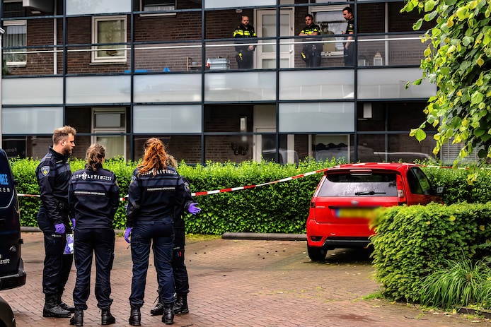 Verdachte van met hamer doodgeslagen Goirlese vrouw (43) bekent, maar weerspreekt moord ...