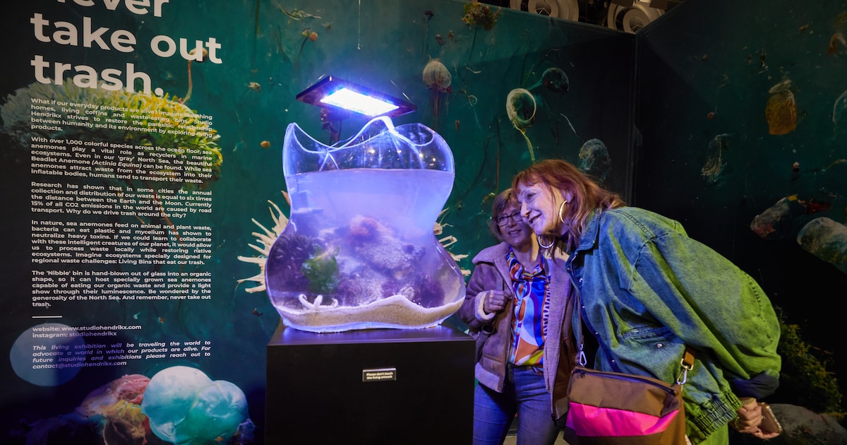 Eindhovenaren met smalle beurs (bijna) gratis naar Dutch Design Week ...