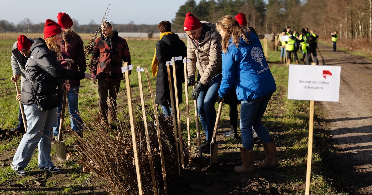 Nieuw bos in Wintelre in de maak: weer een stap dichter bij 400.000 ...