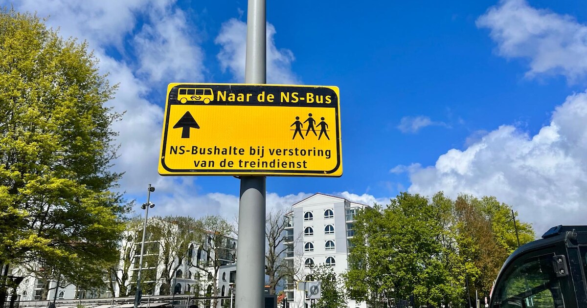 Werkzaamheden station: waarom de NS geen bussen laat rijden tussen ...