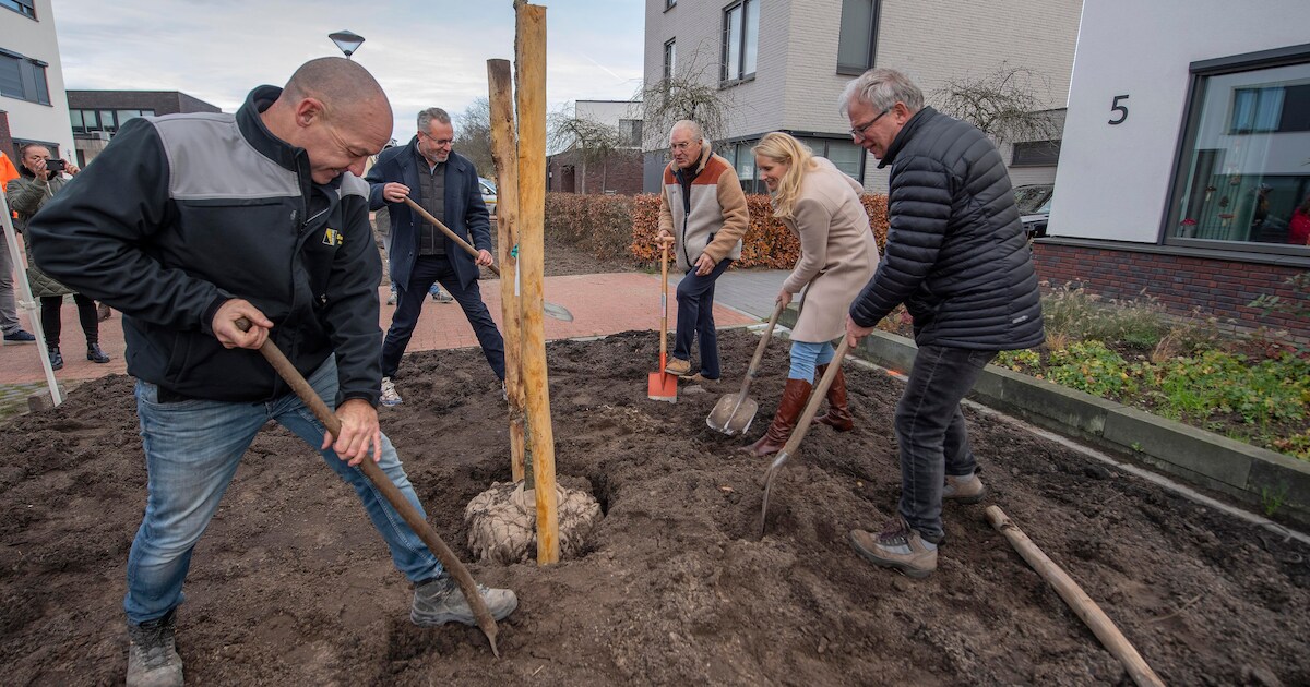 Laatste klus in Houtse Akker markeert einde van bouwdrama met total ...