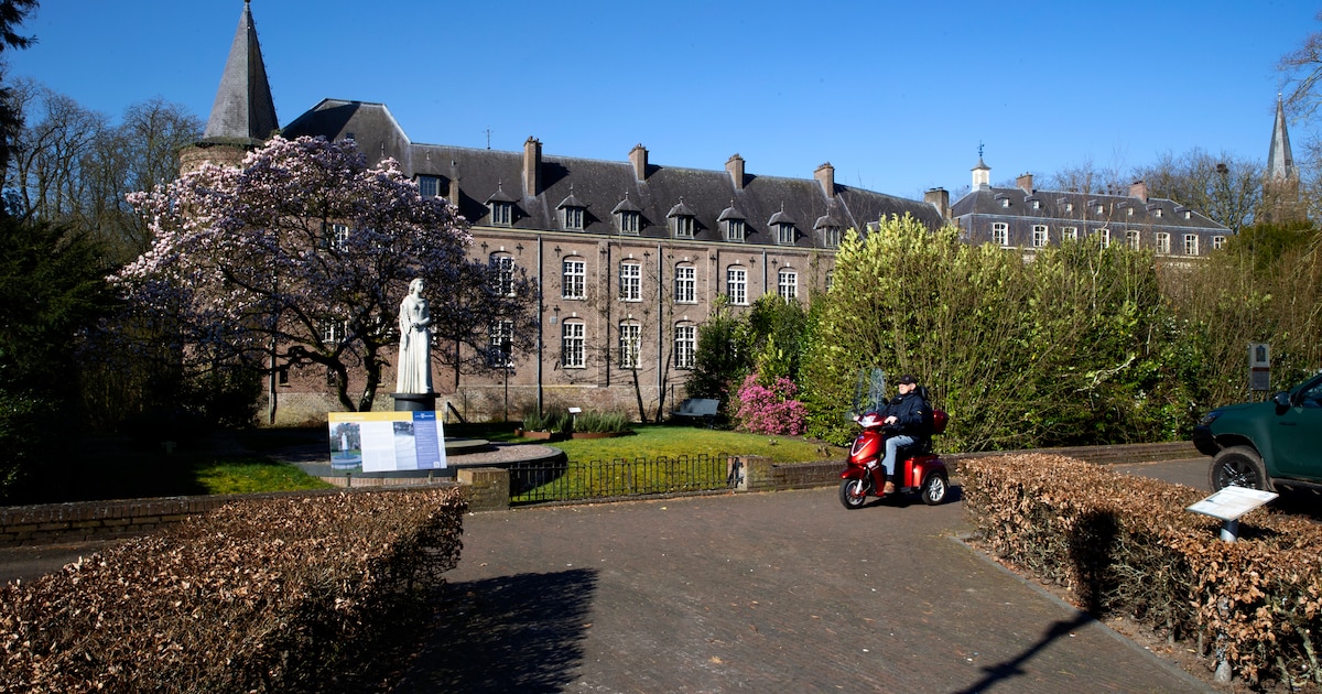 Waarom de toekomst van kasteel Gemert een dubbeltje op zijn kant is ...