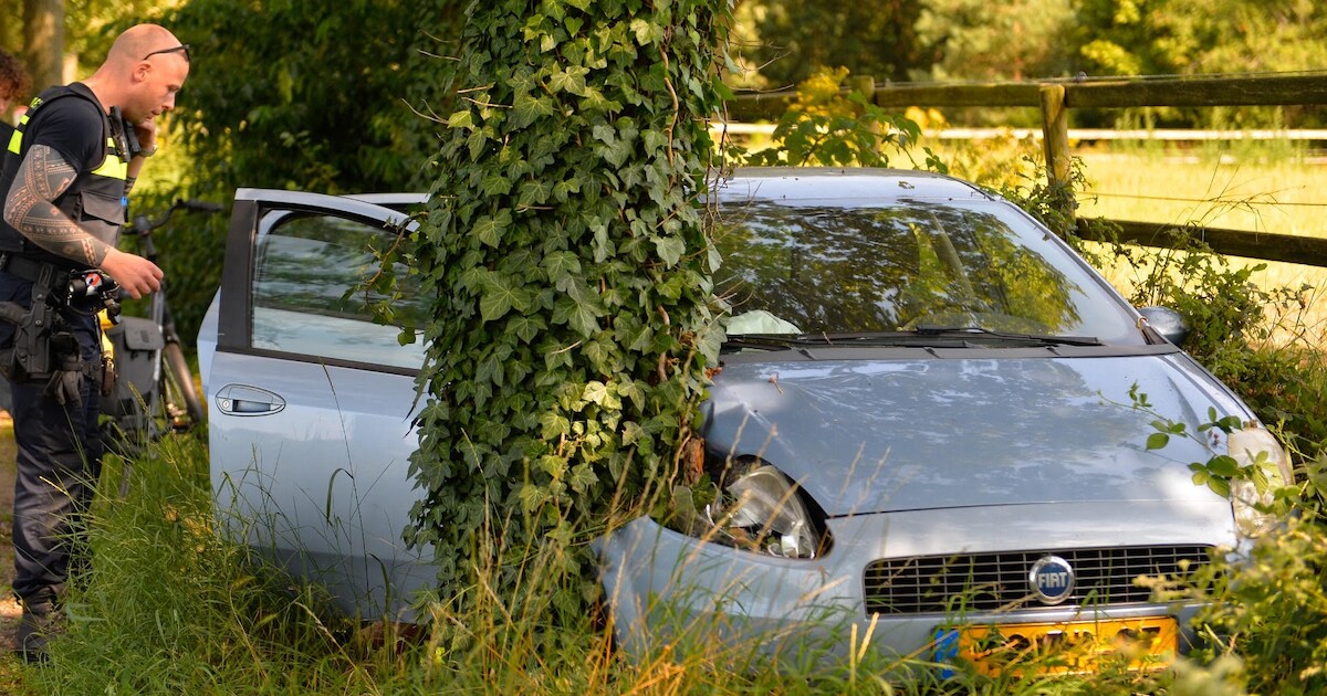 Auto met vijf inzittenden botst op boom in Bakel, drietal rent weg | Gemert-Bakel | ED.nl