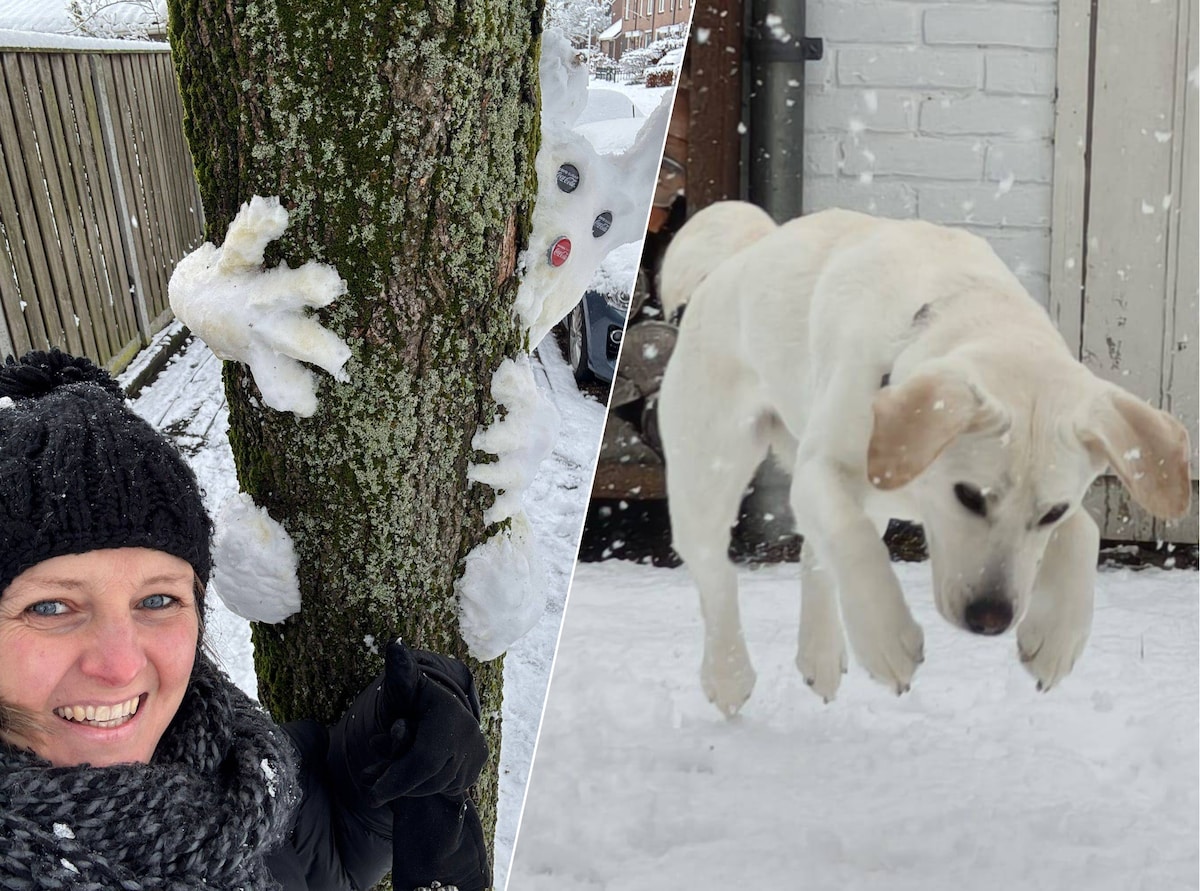 Winterwonderland Deel II: dit zijn de leukste sneeuwplaatjes uit de ...